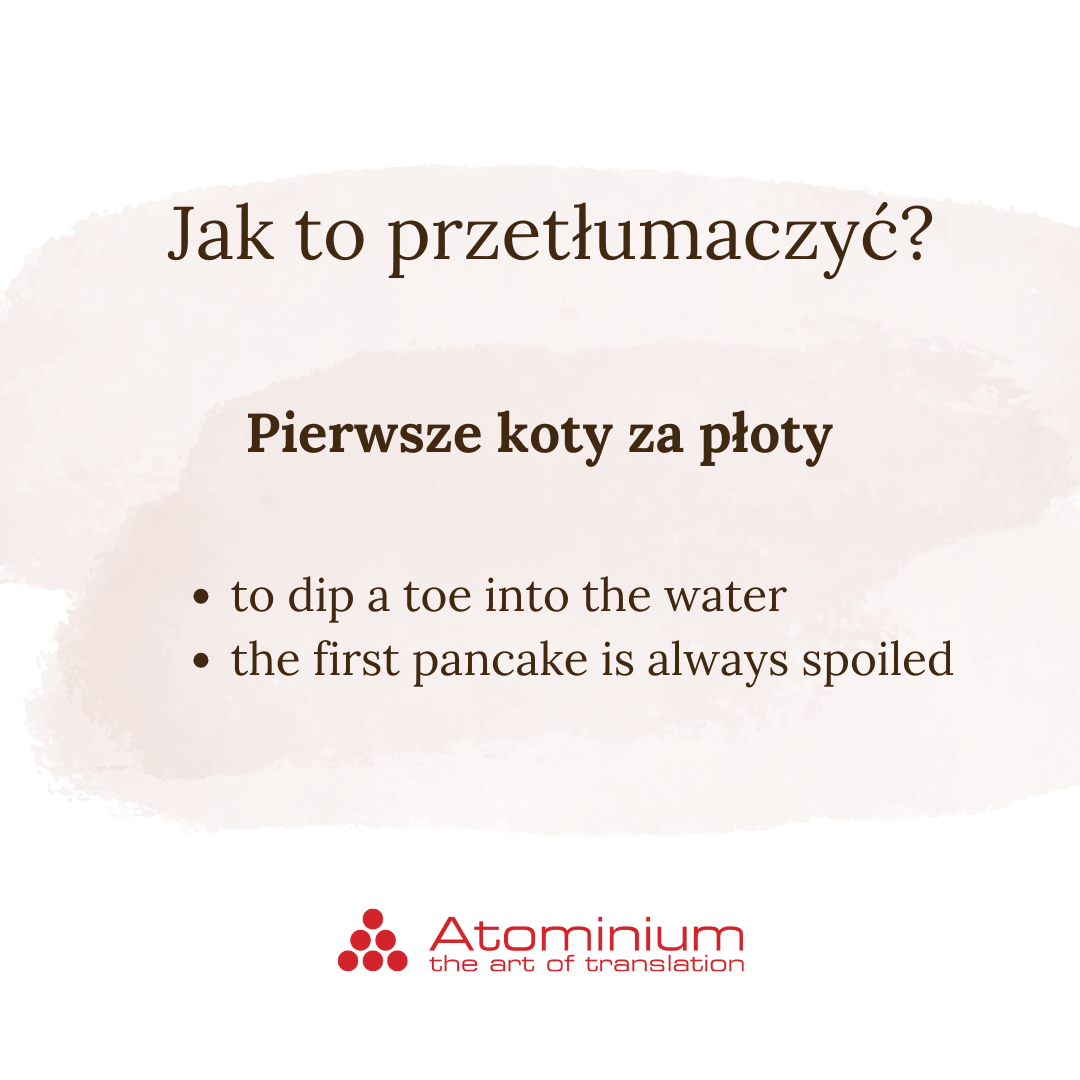 Pierwsze koty za płoty | Biuro tłumaczeń Atominium