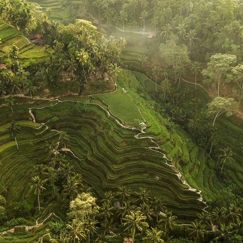 Indonesian - Specialist Translations